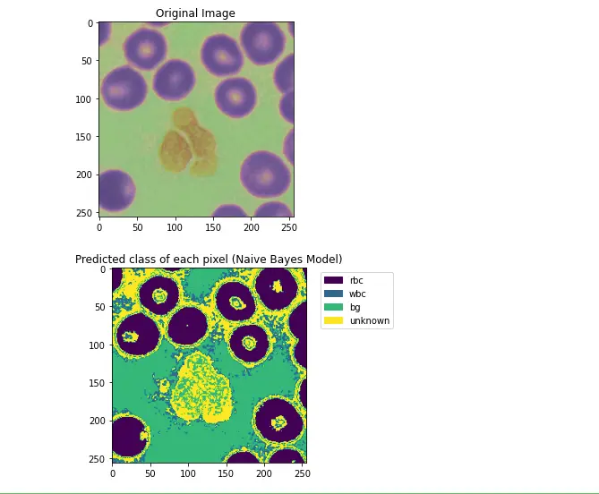 ML Guide on Cell Segmentation Using Watershed Algorithm